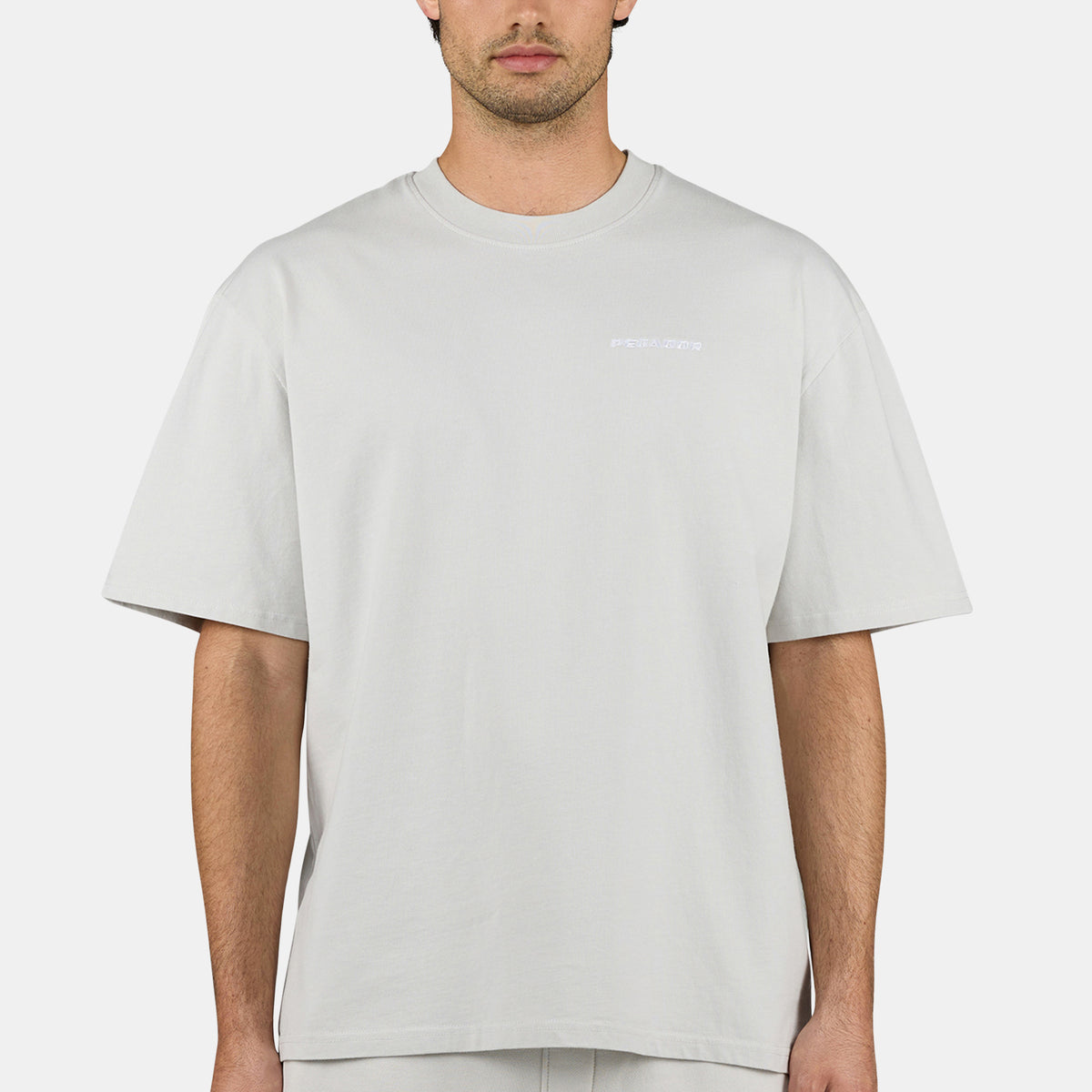 Logo Oversized Tee Washed Pure Grey – PEGADOR®