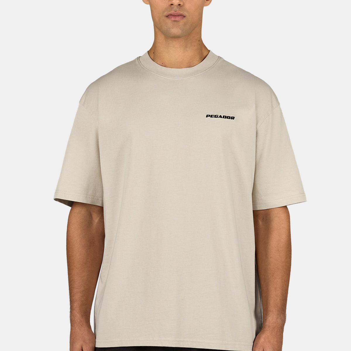 Logo Oversized Tee Washed Cozy Beige – PEGADOR®