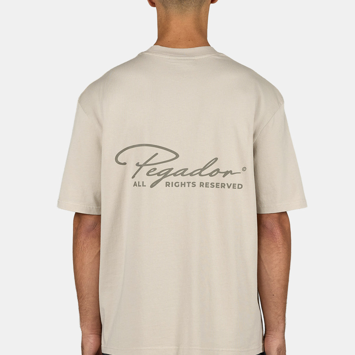 Pike Oversized Tee Washed Cozy Beige – PEGADOR®